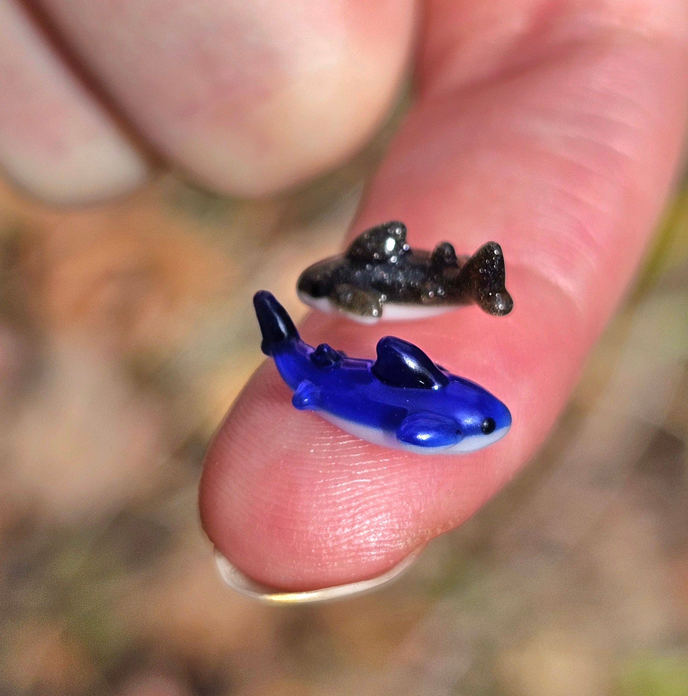 Shark pearl – DeMatteoArt